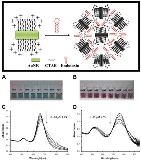 Endotoxin Testing Methods At Jenny Nichole Blog