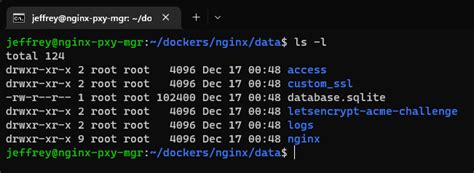 為 Nginx 提供友善管理介面與自動化 HTTPS Nginx Proxy Manager 黑暗執行緒