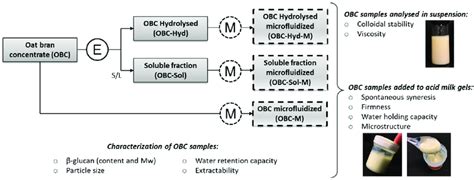 Setup Of The Experimental Design E Enzymatic Treatment M
