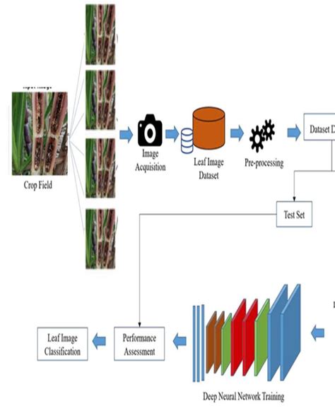 Working Of The Classification Of The Sugarcane Leaf Disease Download