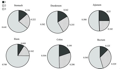 Normalized Time Parameters Of Contractile Activity Of Different