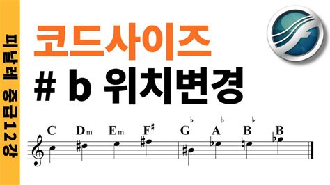 레슨 피날레강좌 코드사이즈조정과 B위치변경