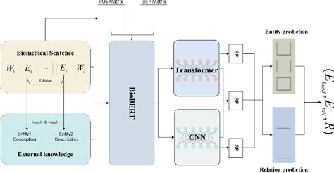 Figure 1 From A Hybrid Neural Network Model With Entity Related