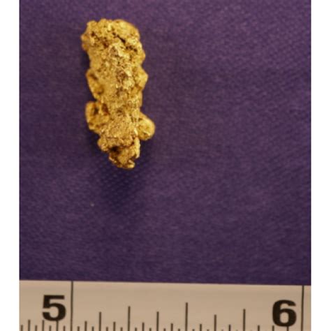 Small Gold Nugget 240 Grams