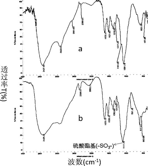 Novel Preparation Method For Sulfated Chitosan Eureka Patsnap