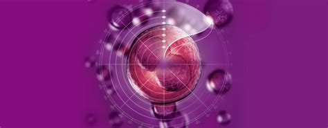 Fertility Care Dublin Beacon Care Fertility Ivf Fertility