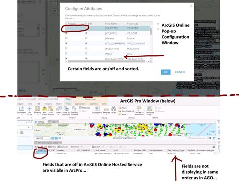 Hosted Feature Service Popup Does Not Match Arcgis Esri Community