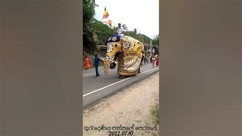 අපේ ගමේ පන්සලේ පෙරහැර ගුරුදෙණිය 🙏👍 Youtube