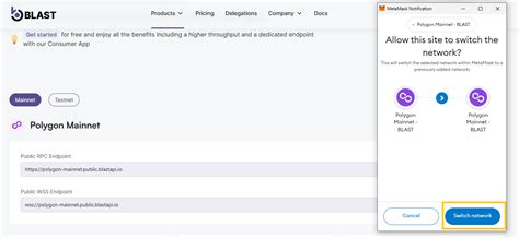 Adding A New Network To Metamask Blast Public Api Blast Documentation