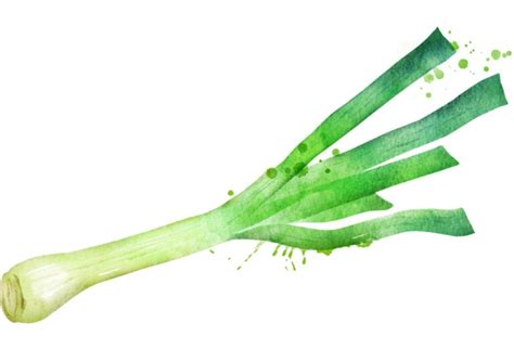 Amateur Orgasm Porn Photo