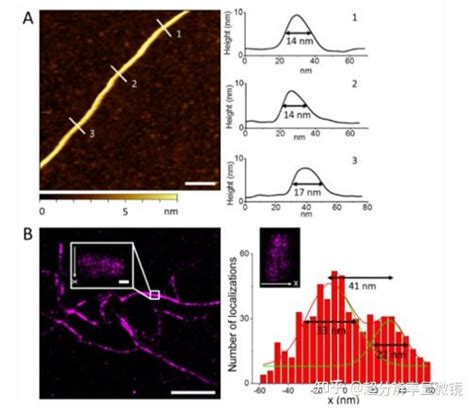 联用仪器afm和dstorm性能测试 知乎