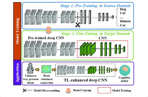 Schematic Diagram Of The Proposed Transfer Learning Enhanced Deep Cnn Download Scientific