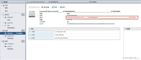 Esxi 黑裙 硬盘直通 Esxi硬盘直通 Csdn博客