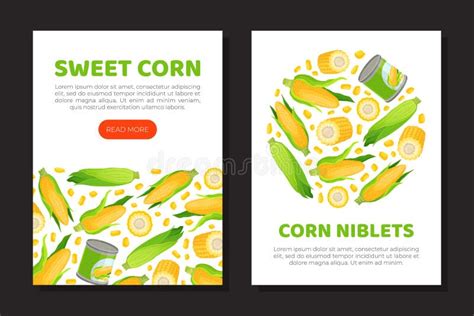 Sweet Corn Mobile App Card Template Natural Organic Product Web Banner Poster Cartoon Vector