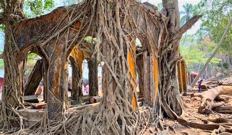 Ross Island Andaman Things To Do And How To Reach Experience Andamans