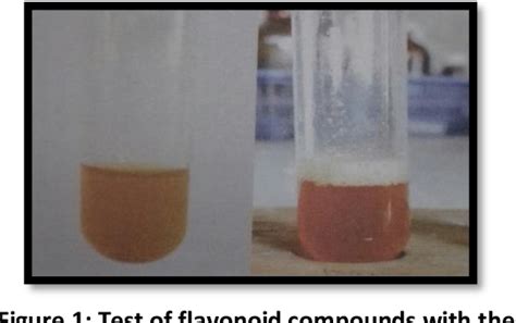 Figure 1 From In Vitro Antimalarial Activity Assay Of Ashitaba Leaf