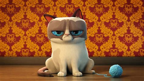 100 Grumpy Cat Wallpapers