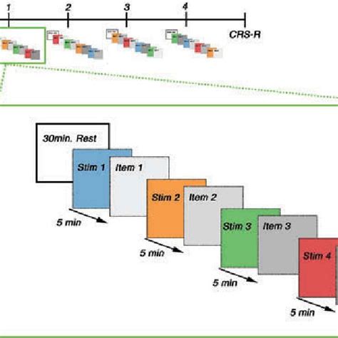 Scores For Responses To CRS R Items And Spontaneous Signs Of Download Scientific Diagram