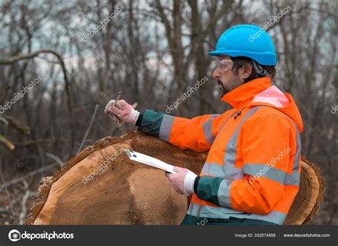 Forestry Technician Posing Clipboard Notepad Next Tree Log Forest Confident Stock Photo By