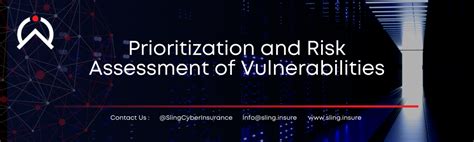 prioritization and risk assessment of vulnerabilities