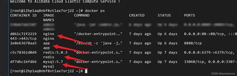 码神之路博客部署教程【完整版】 基于linux的docker部署教程 非常详细 linux docker环境部署网站和解析 csdn博客