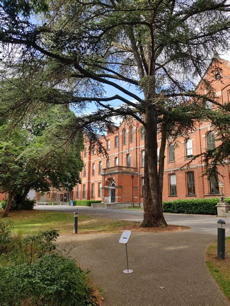 Datascience Finance Ucdsmurfit Continuouslearning Newbeginnings Aditya Suhane 92 Comments