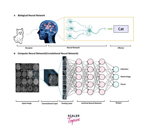 introduction to neural networks and deep learning scaler topics