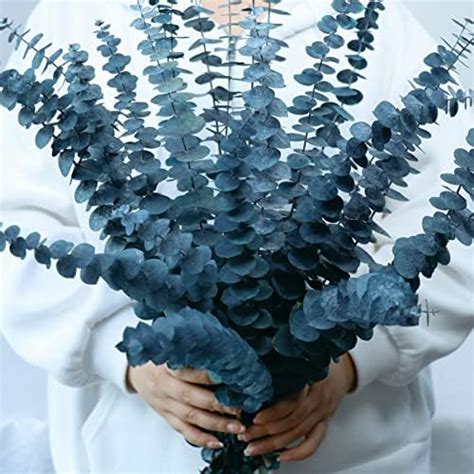 16 Pcs Dried Fall Eucalyptus Stems Red Christmas Burgundy