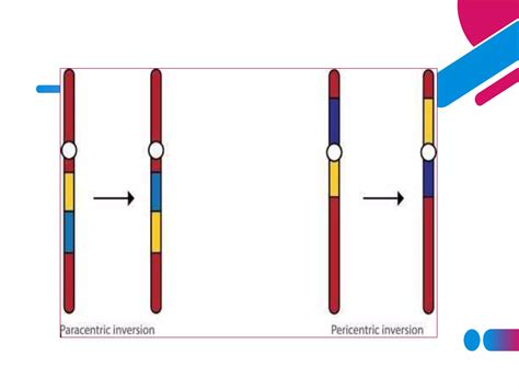 4 Unit I Chromosomal Aberrations Patterns Of Inheritance Pptx Genetics Science