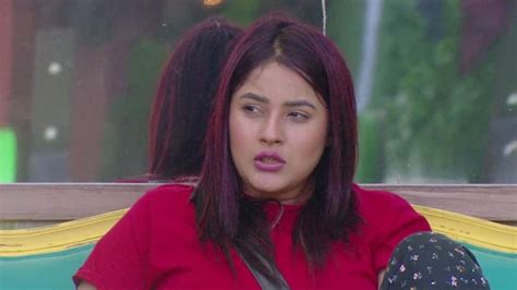 Watch Whats Your Favourite Colour Video Onlinehd On Jiocinema