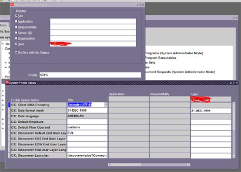 Oracle EBS Practical Approaches User Preferences Values