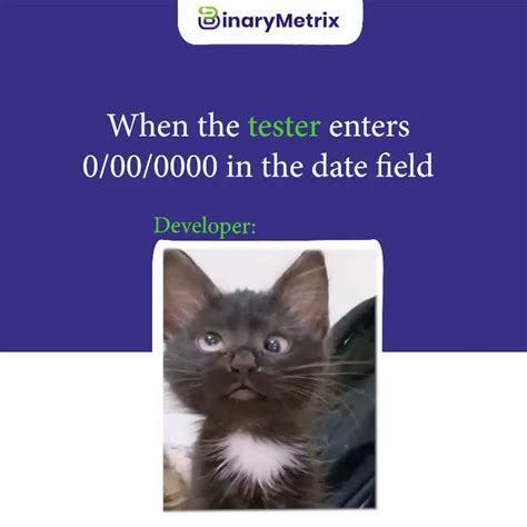 [video] binarymetrix technologies pvt ltd on linkedin developer