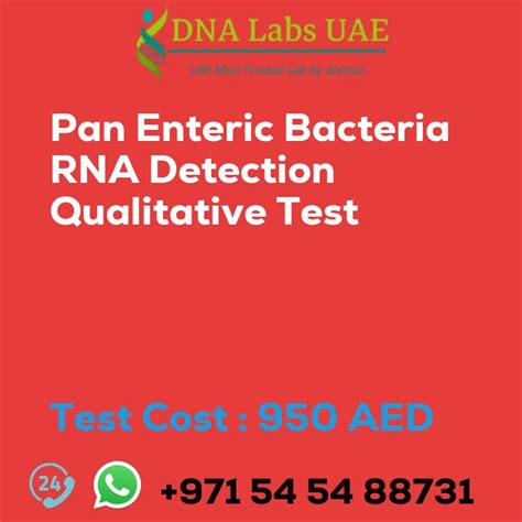 Pan Enteric Bacteria Rna Detection Qualitative Test Cost Dna Labs Uae