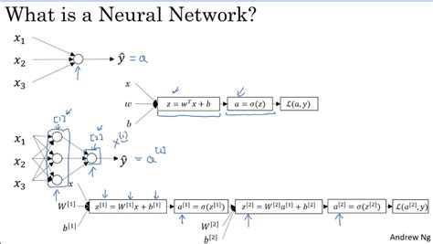 Questions On Week 3 Neural Network Overview Neural Networks And