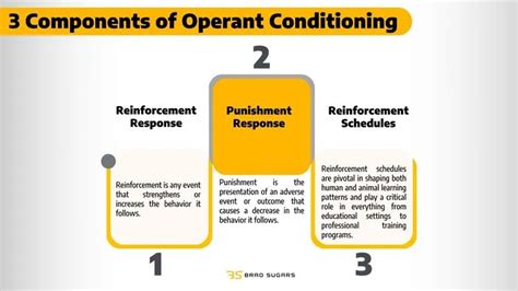 Operant Conditioning What It Is And Its Usefulness In The Workplace