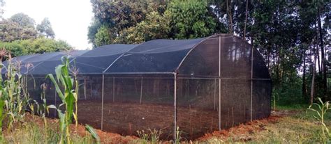 Shade Net House Farming 2025 Affordable Shade Netting