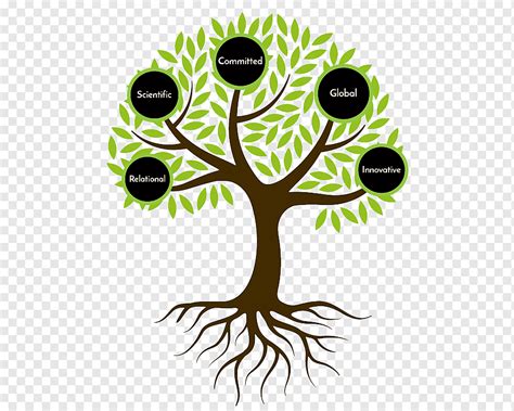 뿌리 나무 그리기 잎 분기 로고 Png Pngwing
