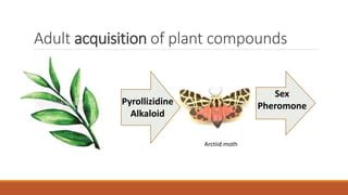 Host Plant Inflenses On Sex Pheromone PPTX Perfume And Fragrance Beauty
