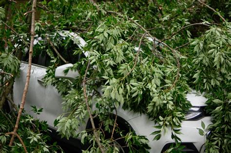 Understanding Auto Insurance Coverage For Windscreen Replacements