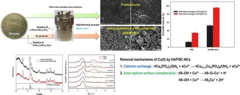 一种简便的一锅水热合成羟基磷灰石 生物炭纳米复合材料：从水性介质中去除铜（ii）的吸附行为和机理 Chemical Engineering Journal X Mol