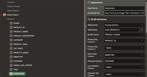 Efficiently File Download In Oracle Apex Ontoor Solutions Ontoor Blogs