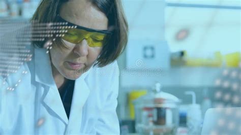 Scientist In Lab Coat Working With Data Processing Animation Overlay Stock Footage Video Of