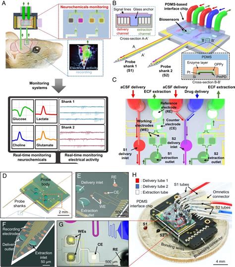 Microtech Ventures On Linkedin Medical Mems A Neural Probe For Concurrent Real Time