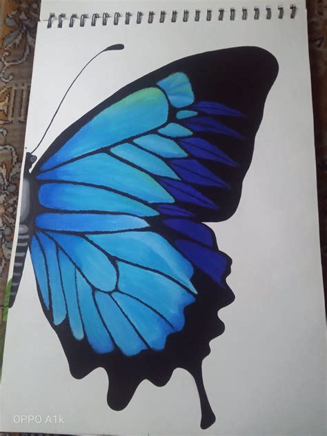 Blue Butterfly Drawing