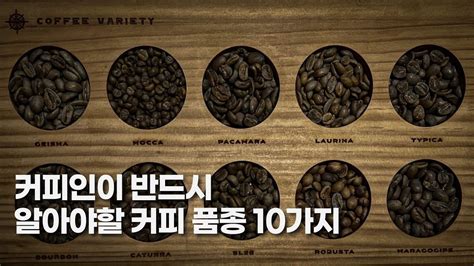 바리스타 커피인이 반드시 알아야 할 커피 품종 10가지 커피 커핑 로스팅 핸드드립 강의 Youtube