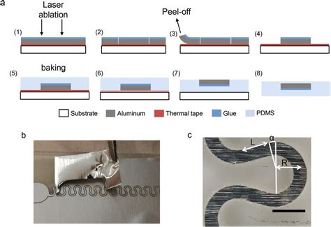 Fabrication And Characterisation Of Stretchable Interconnections A Download Scientific