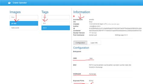 Devops 基于 Drone Ci 部署 Go 语言项目 — Web Server Ijayer
