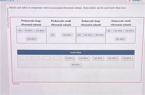 Attempt 2match Each Label Or Component With Its