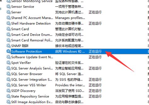 Windows 无法启动software Protection 错误5拒绝访问 达牛帮帮你