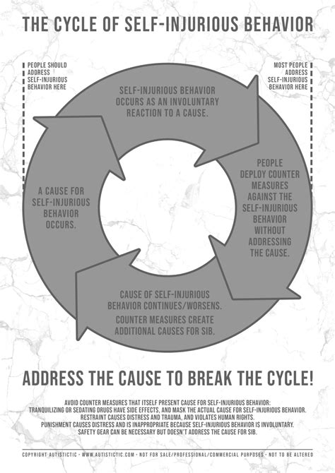 Self Injurious Behavior Vicious Cycle Autistictic